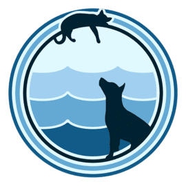 Veterinarian in Virginia Beach, VA | Independence Veterinary Hospital