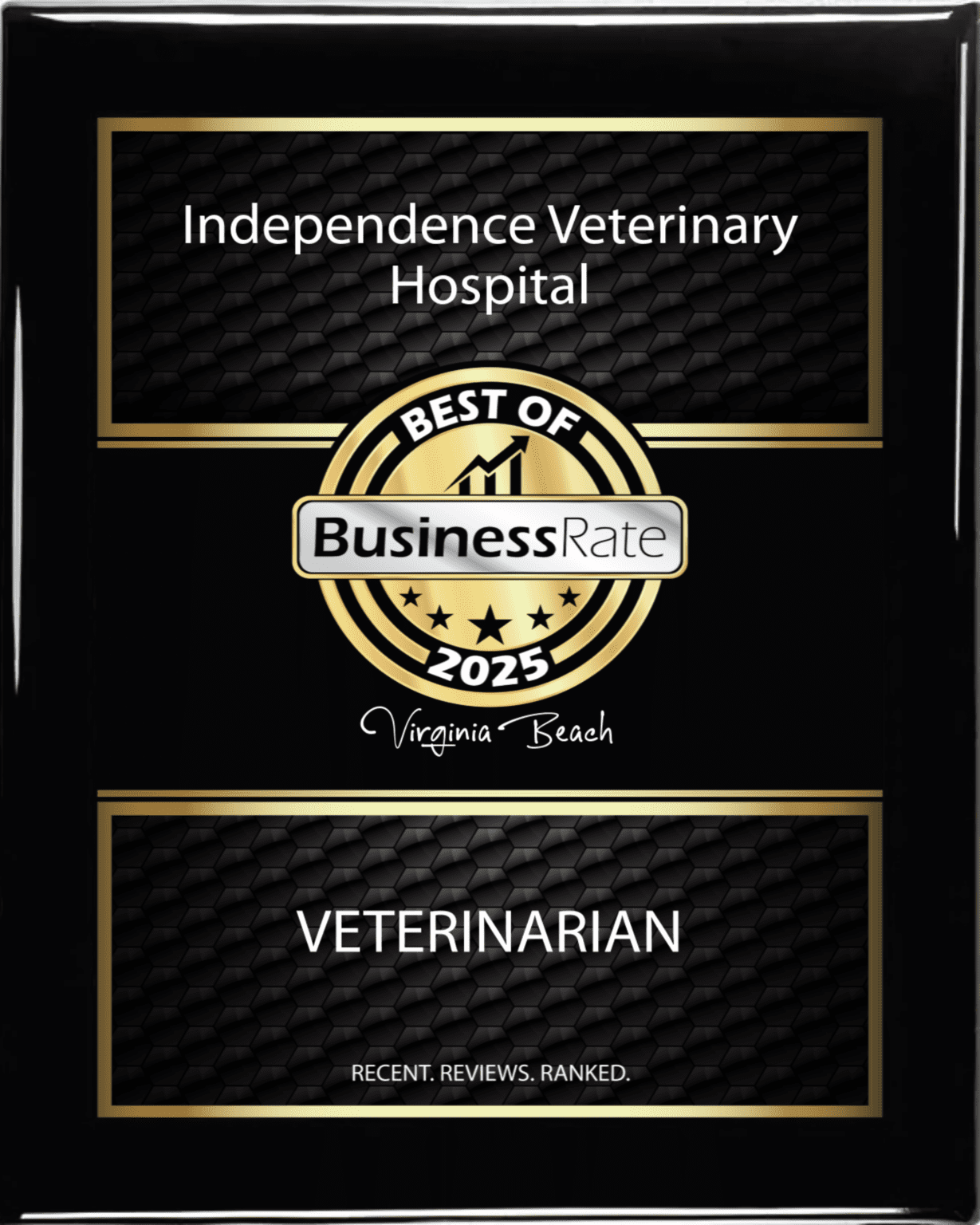 Veterinarian in Virginia Beach, VA | Independence Veterinary Hospital